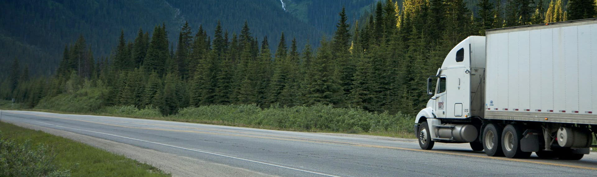 Zakład Usług Transportowych Daltrans